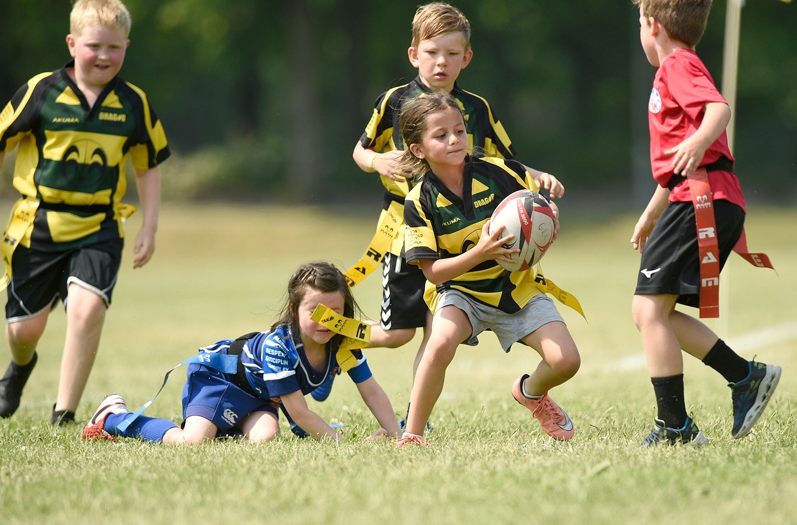 Dansk Rugby Union | DIF