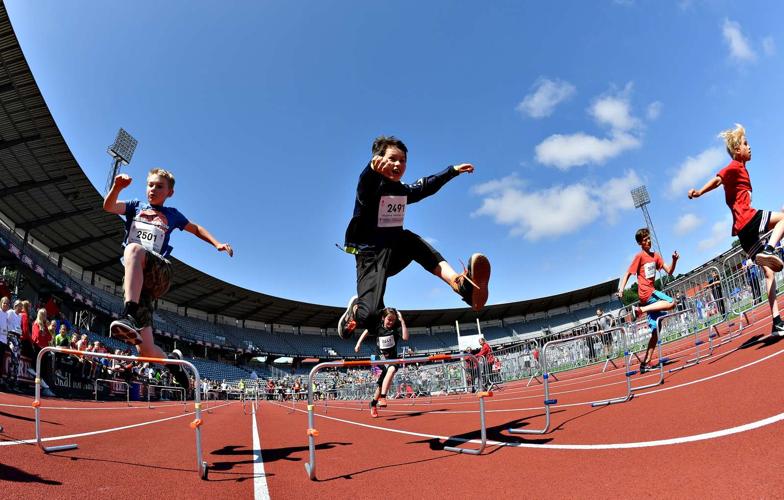 Dansk Atletik Forbund | DIF